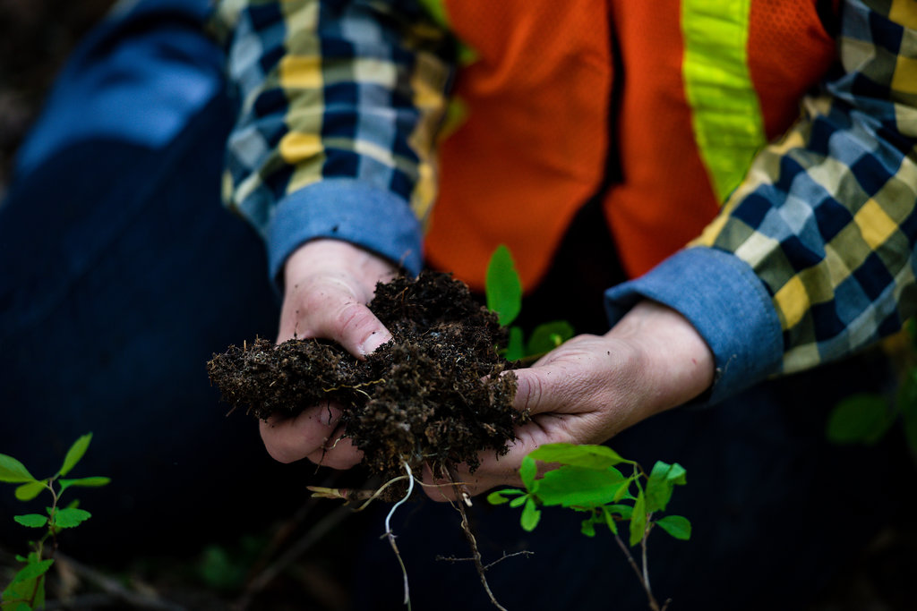 Advances in Land Reclamation: Theory, Practice, & Modern Approaches | UNBC
