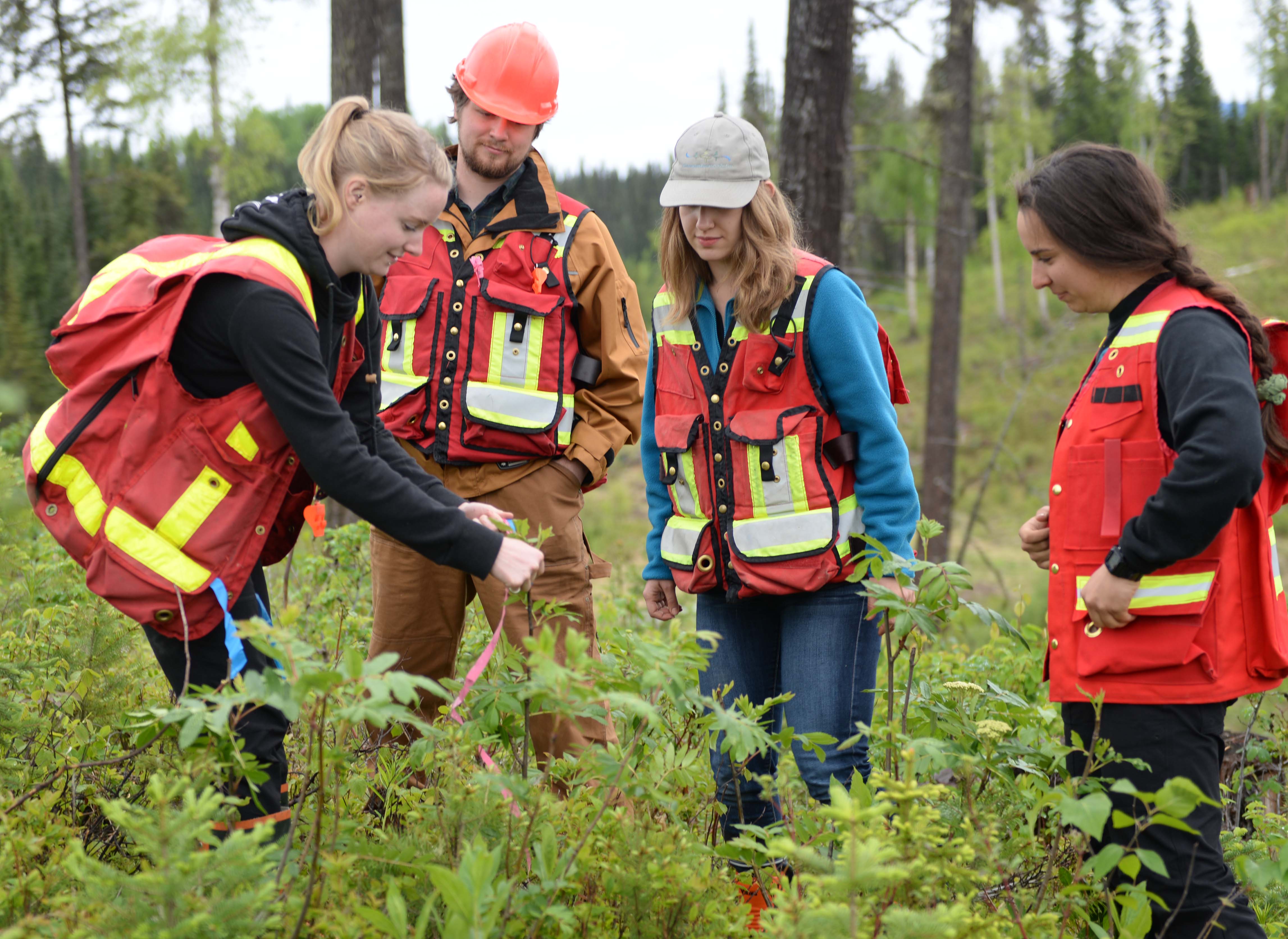 Students Benefit from Classroom in the Woods | UNBC