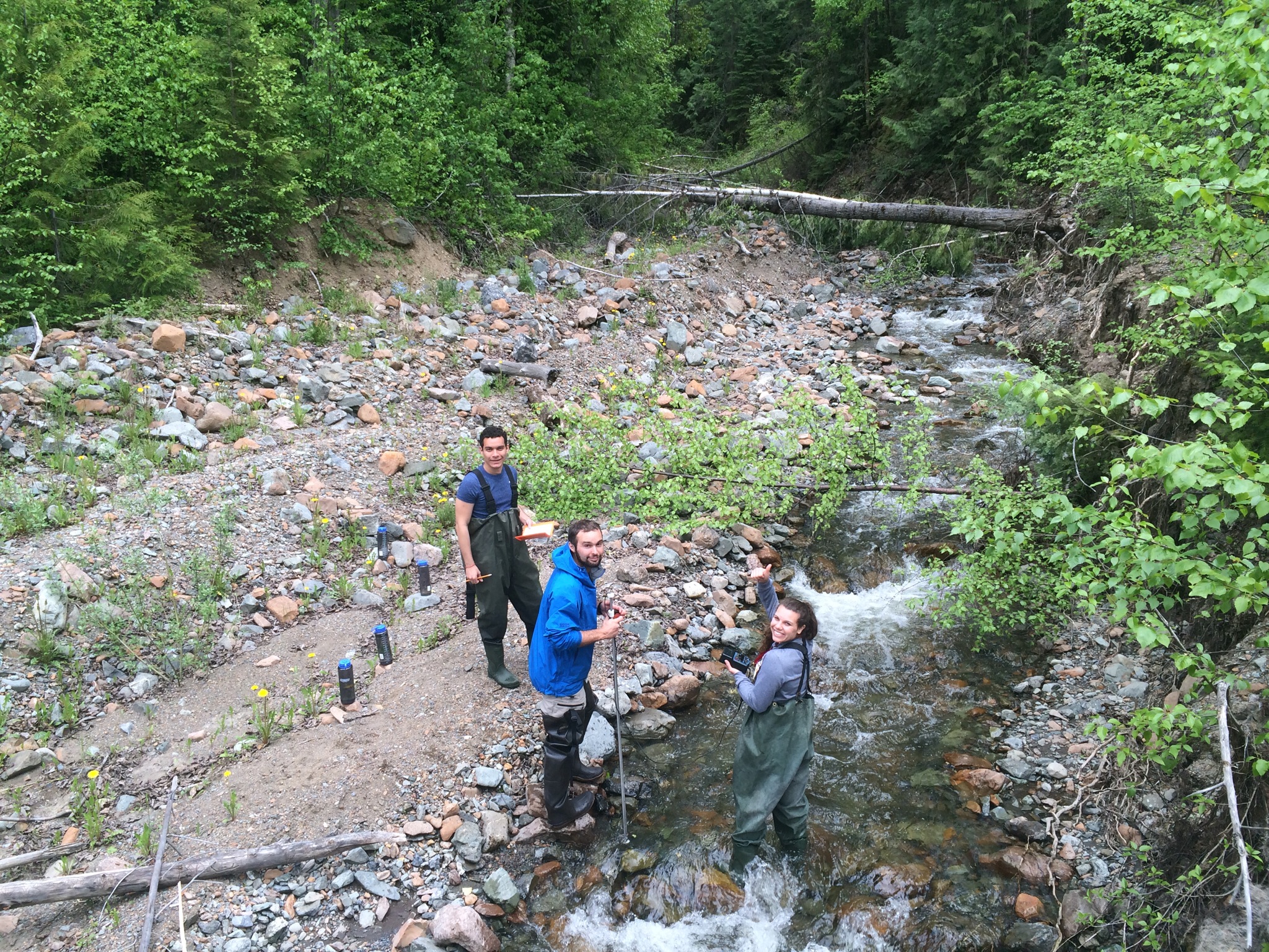 Field Courses | UNBC