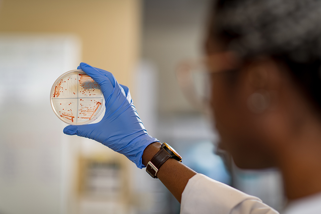 UNBC sees phenomenal growth in partnered research | UNBC