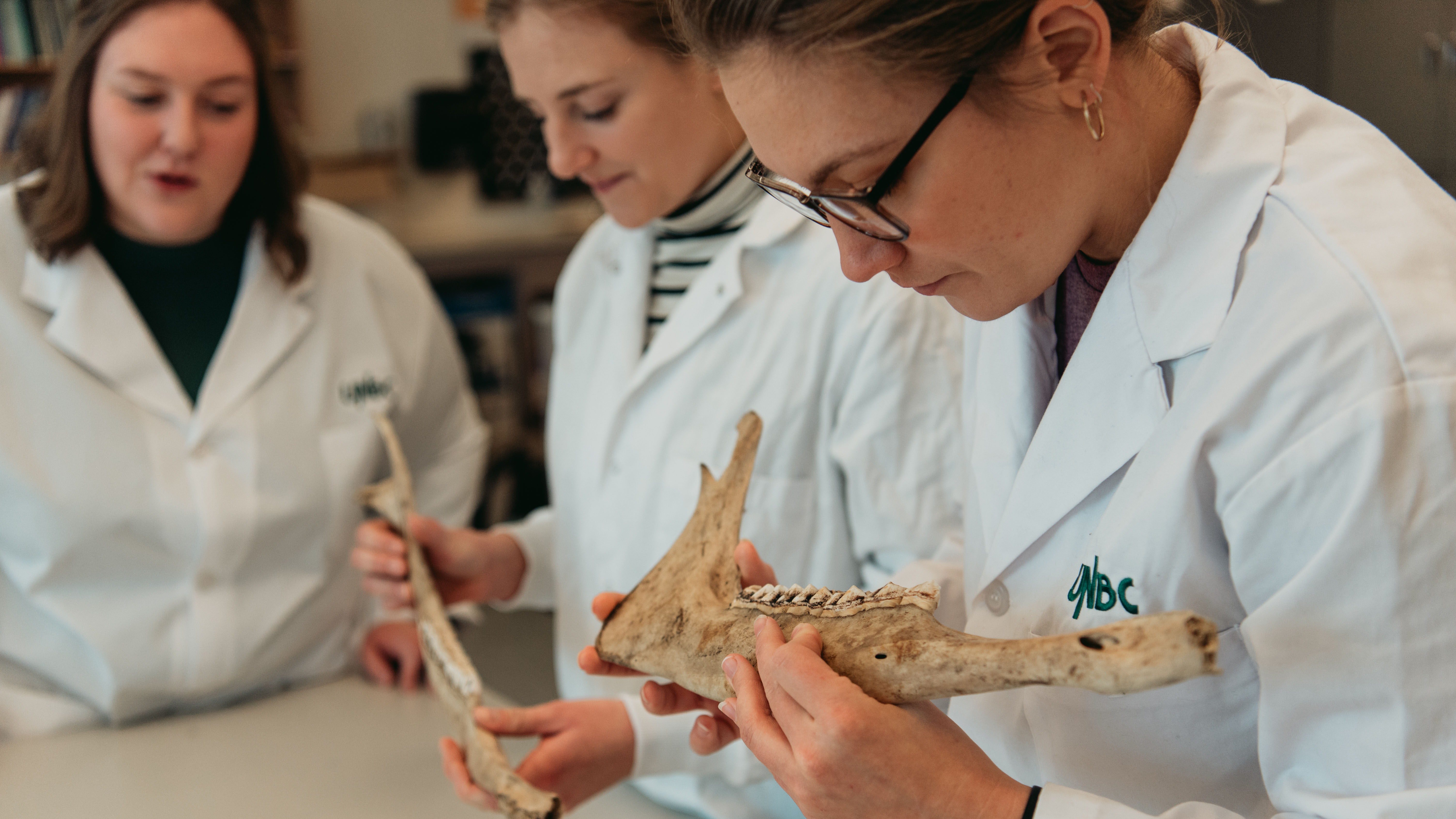 UNBC’s research funding continues to grow | UNBC