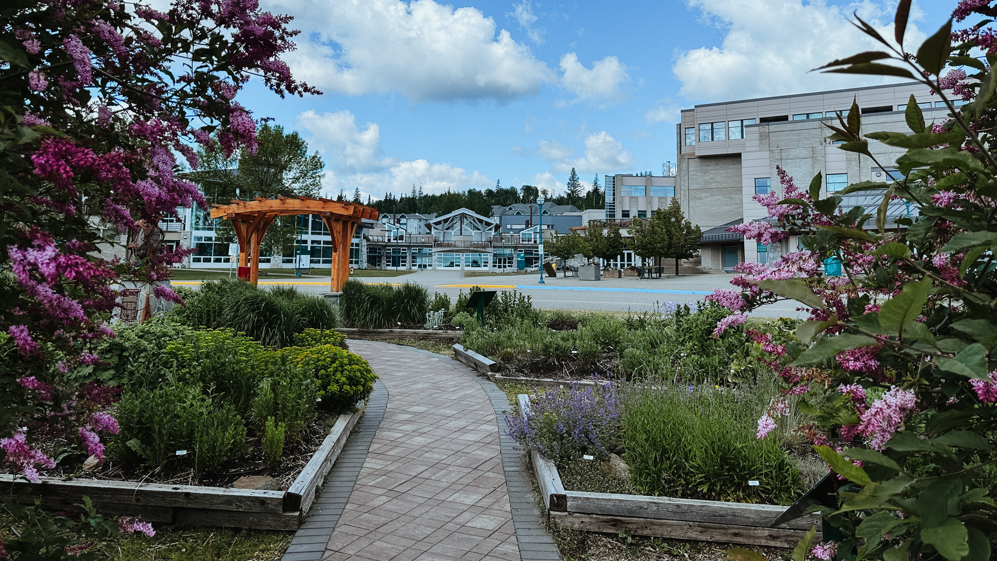 UNBC improves in two categories in World University Rankings | UNBC