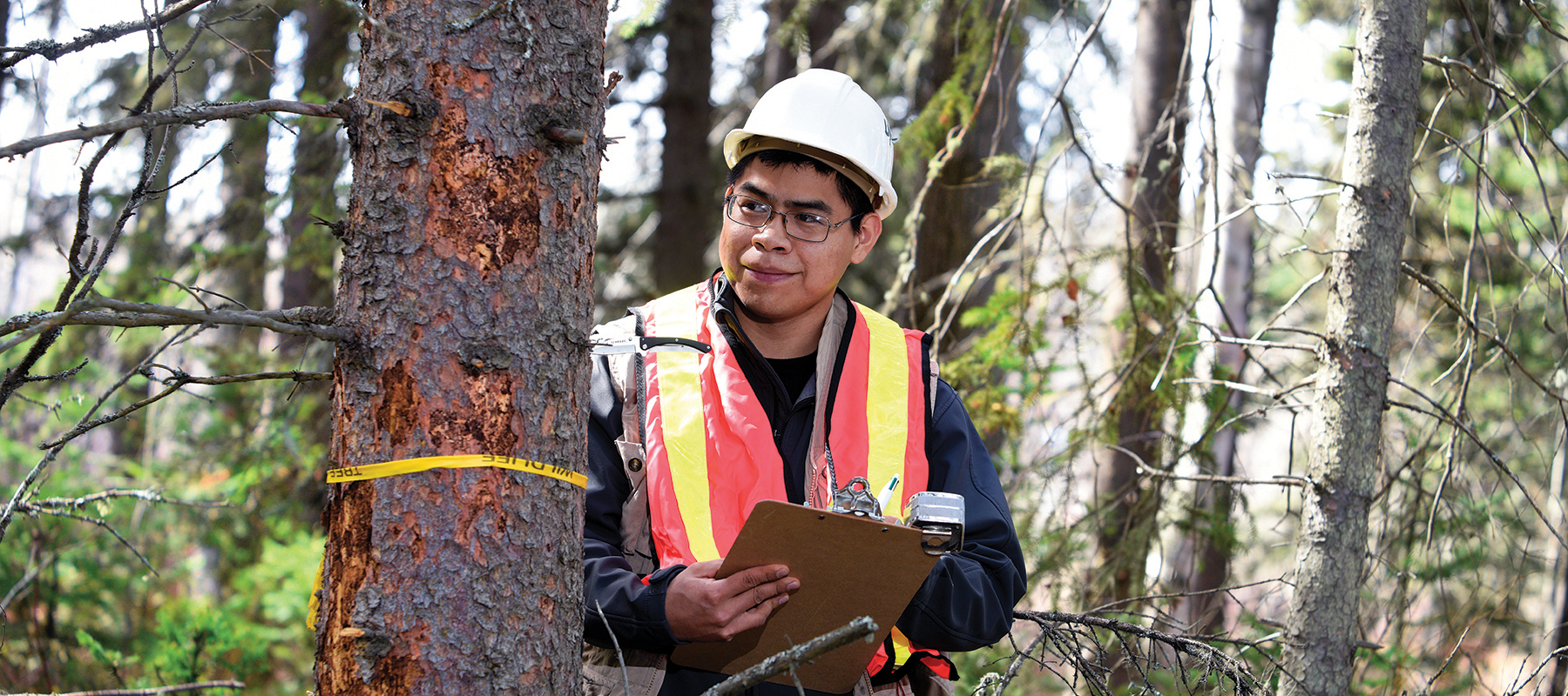 Student Wins National Forestry Award | UNBC